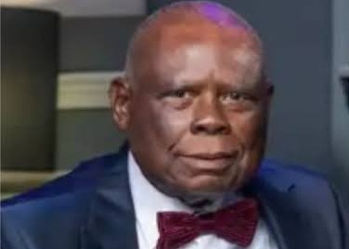 Herbert Wigwe: There's no point crying over my son's death - Father ...